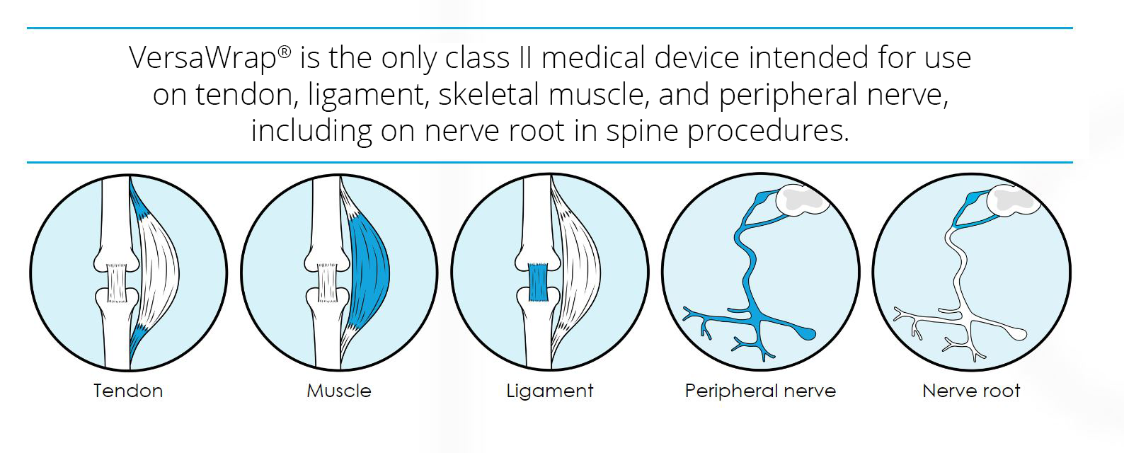 Alafair Biosciences, Inc. | Ascend With Winstead